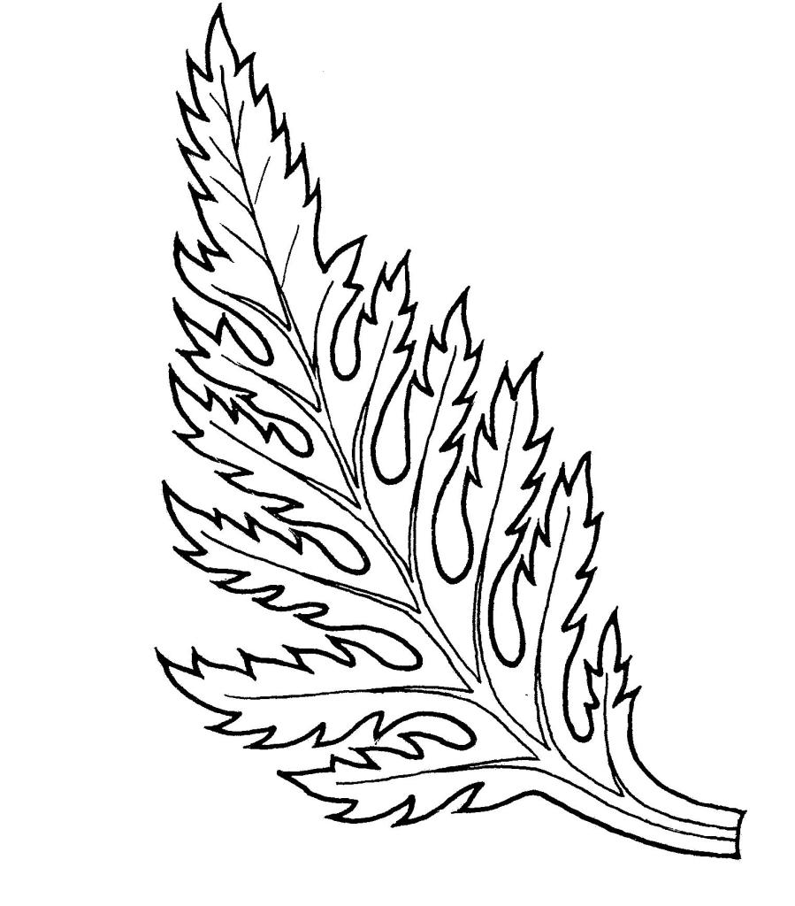 VRIJESCHOOL – Plantkunde – plantendelen – blad | VRIJESCHOOL