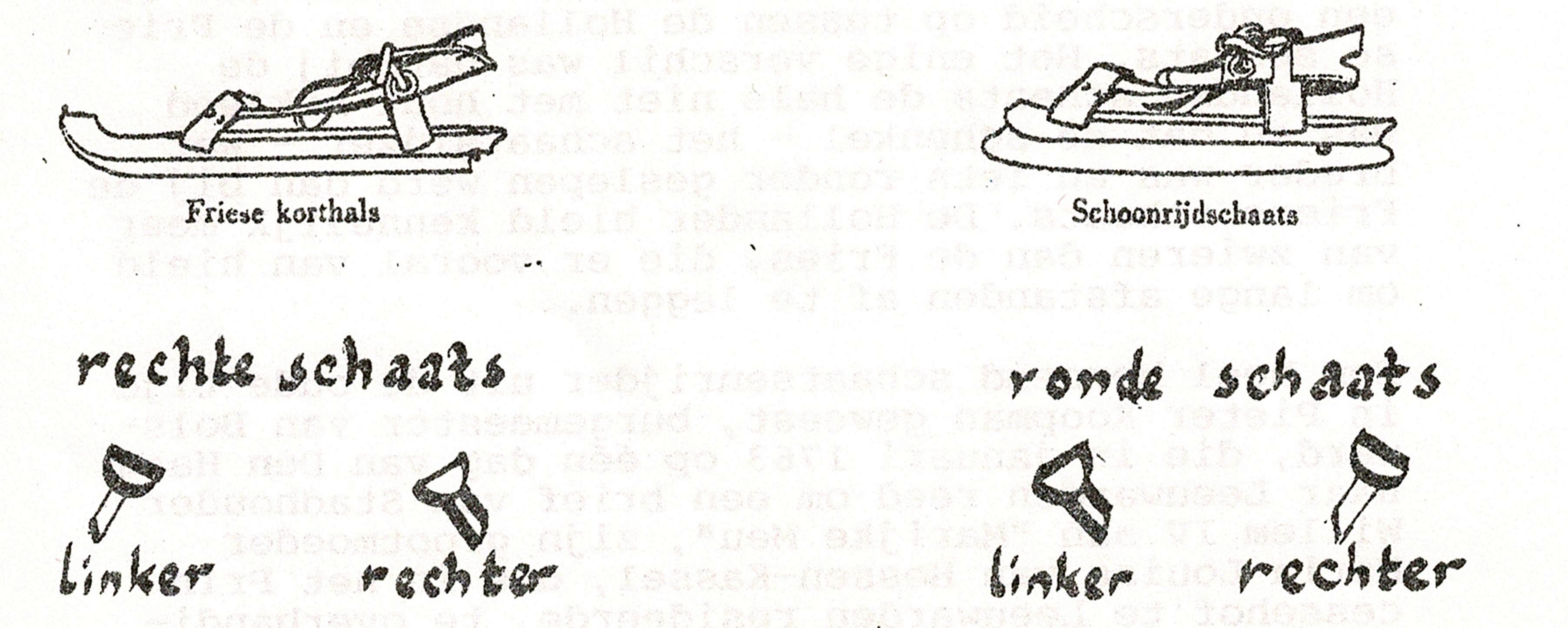 schaatsen en zintuigen | VRIJESCHOOL